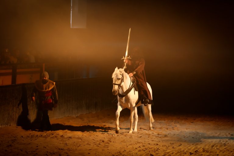 Que tal incluir o Show Excalibur no seu passeio? - Destino Beto Carrero ...